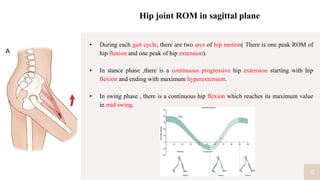 Gait Biomechanics and pathomechanics .pdf
