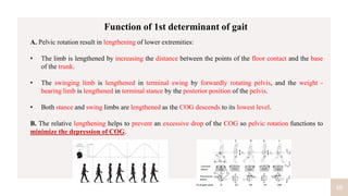 Gait Biomechanics and pathomechanics .pdf