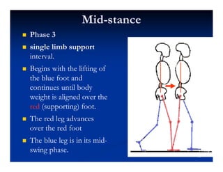 Gait, movements that produce locomotion | PDF