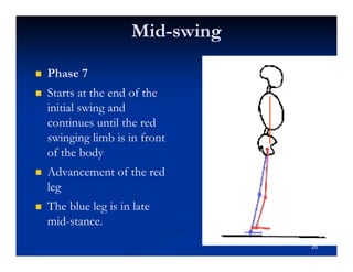Gait, movements that produce locomotion | PDF