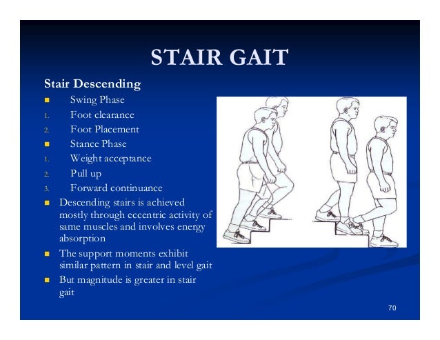 Gait, movements that produce locomotion