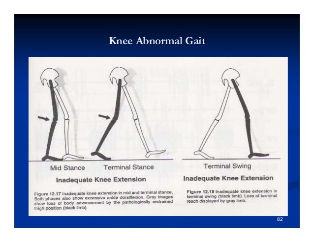 Gait, movements that produce locomotion
