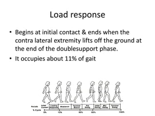 Gait cycle | PPTX