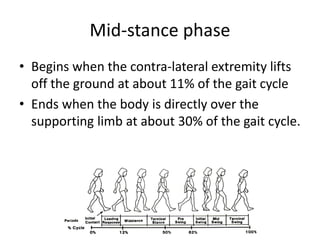 Gait cycle | PPTX