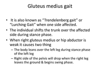 Gait cycle | PPTX