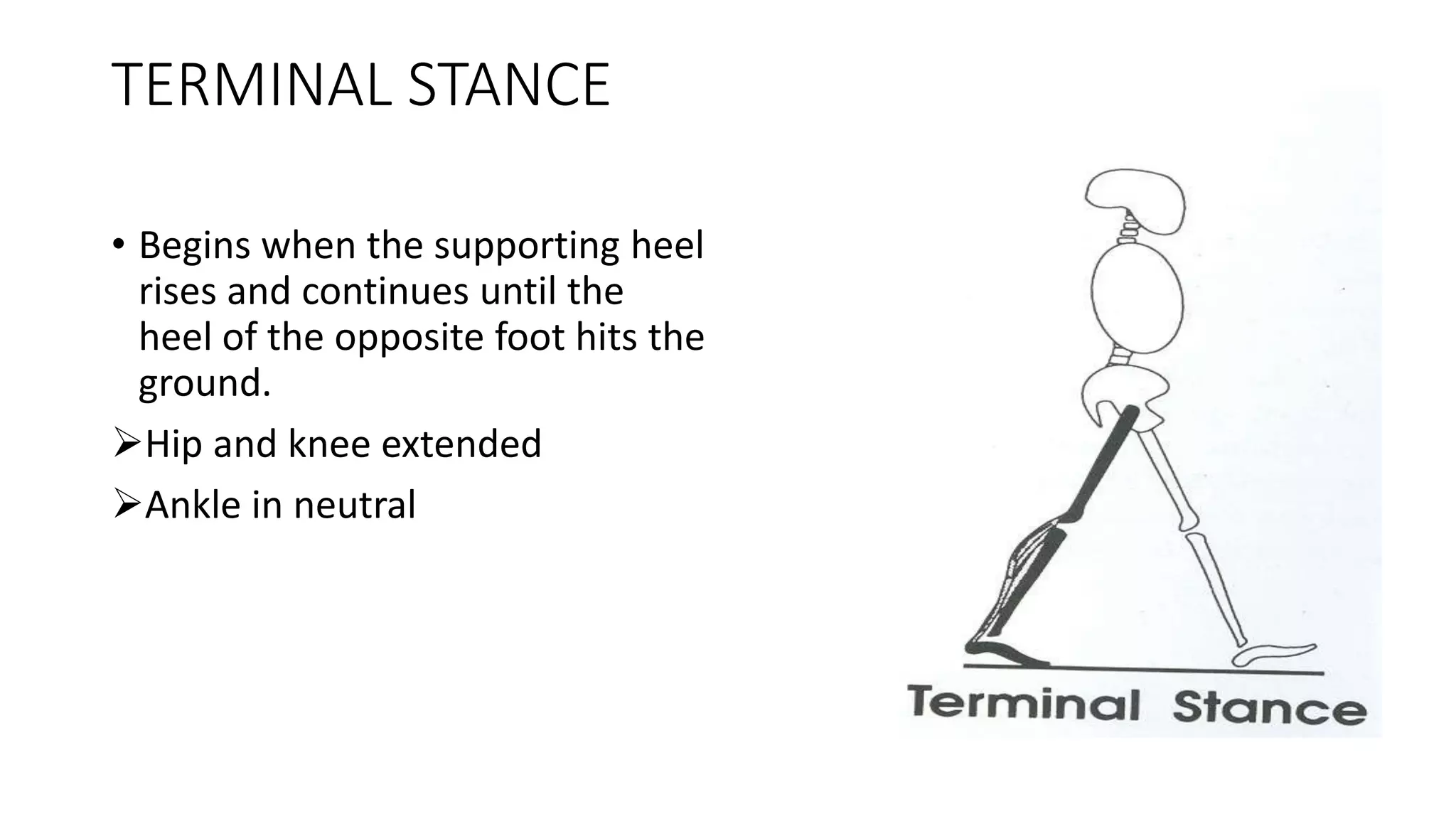 Gait cycle | PPTX
