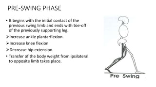 Gait cycle | PPTX