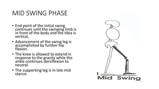 Gait cycle | PPTX