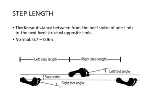 Gait cycle | PPTX
