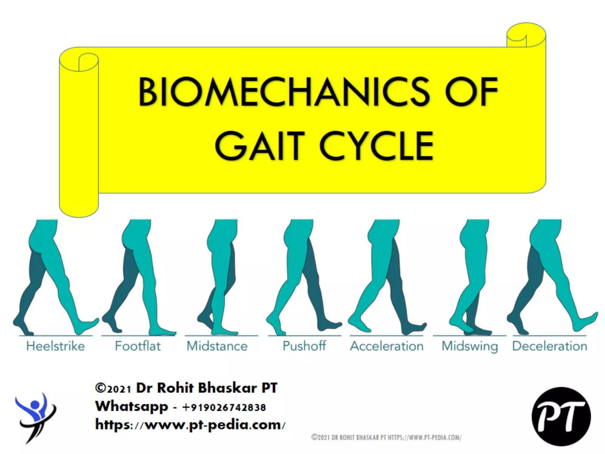 Gait Cycle - Phases & Analysis - Dr Rohit Bhaskar | PPT