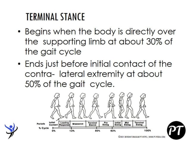 Gait Cycle - Phases & Analysis - Dr Rohit Bhaskar | PPT