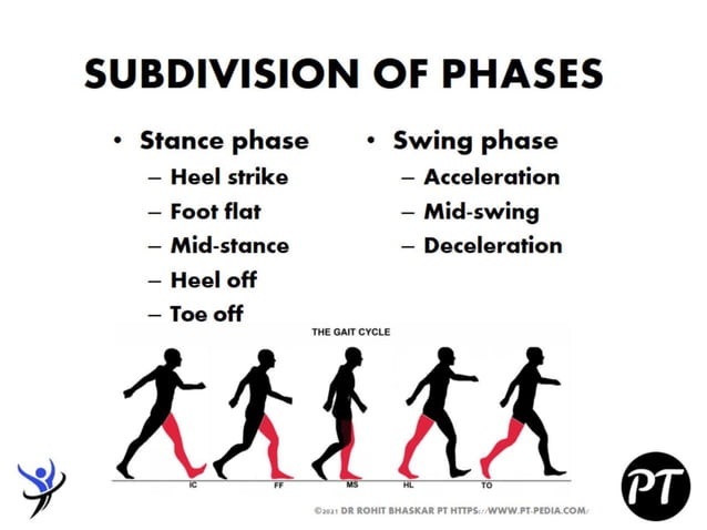 Gait Cycle - Phases & Analysis - Dr Rohit Bhaskar | PPT