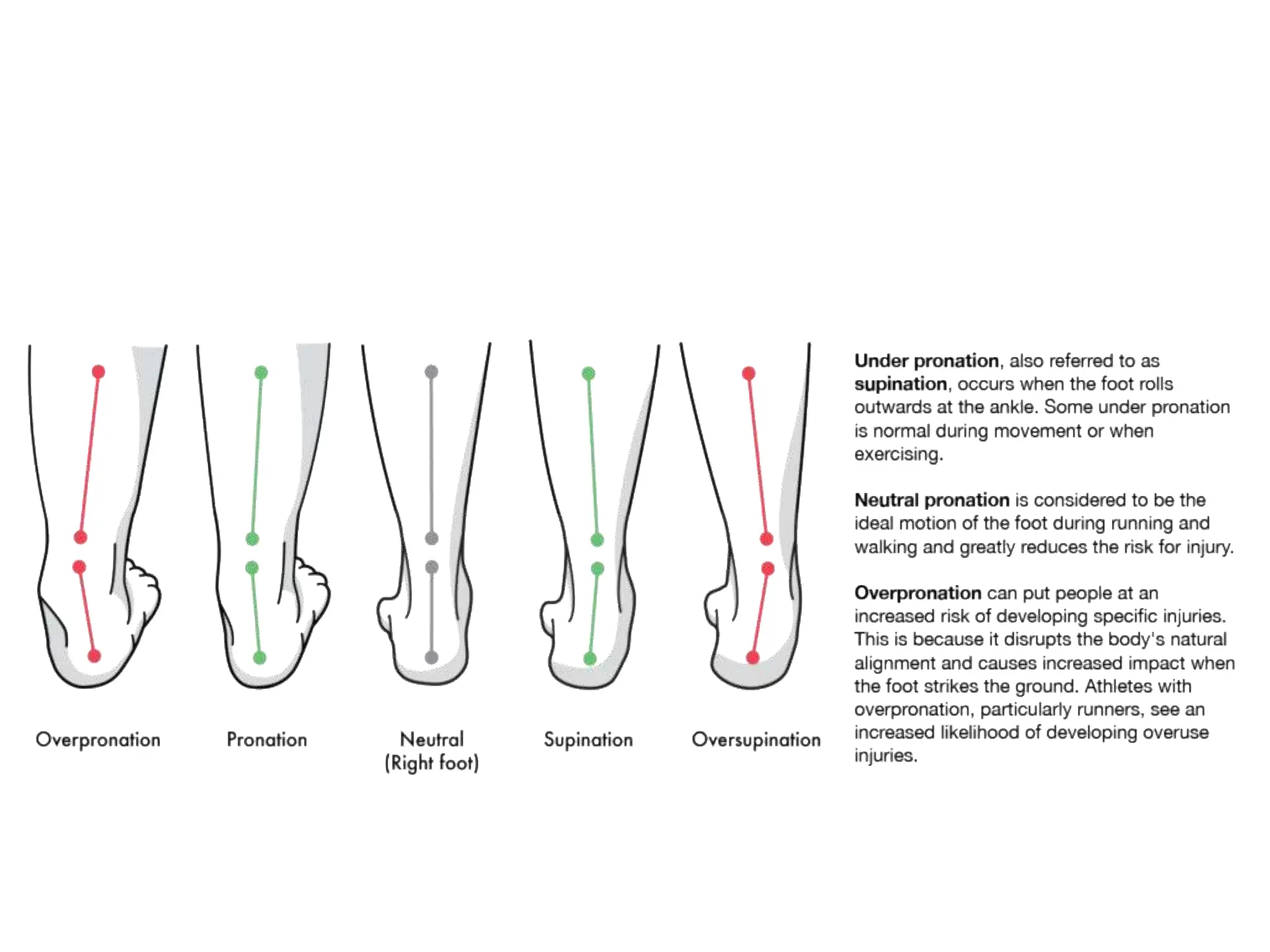 Gait Cycle.pptx