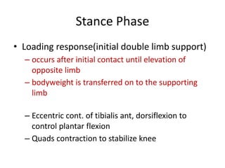 Gait Cycle.pptx
