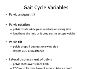 Gait Cycle.pptx