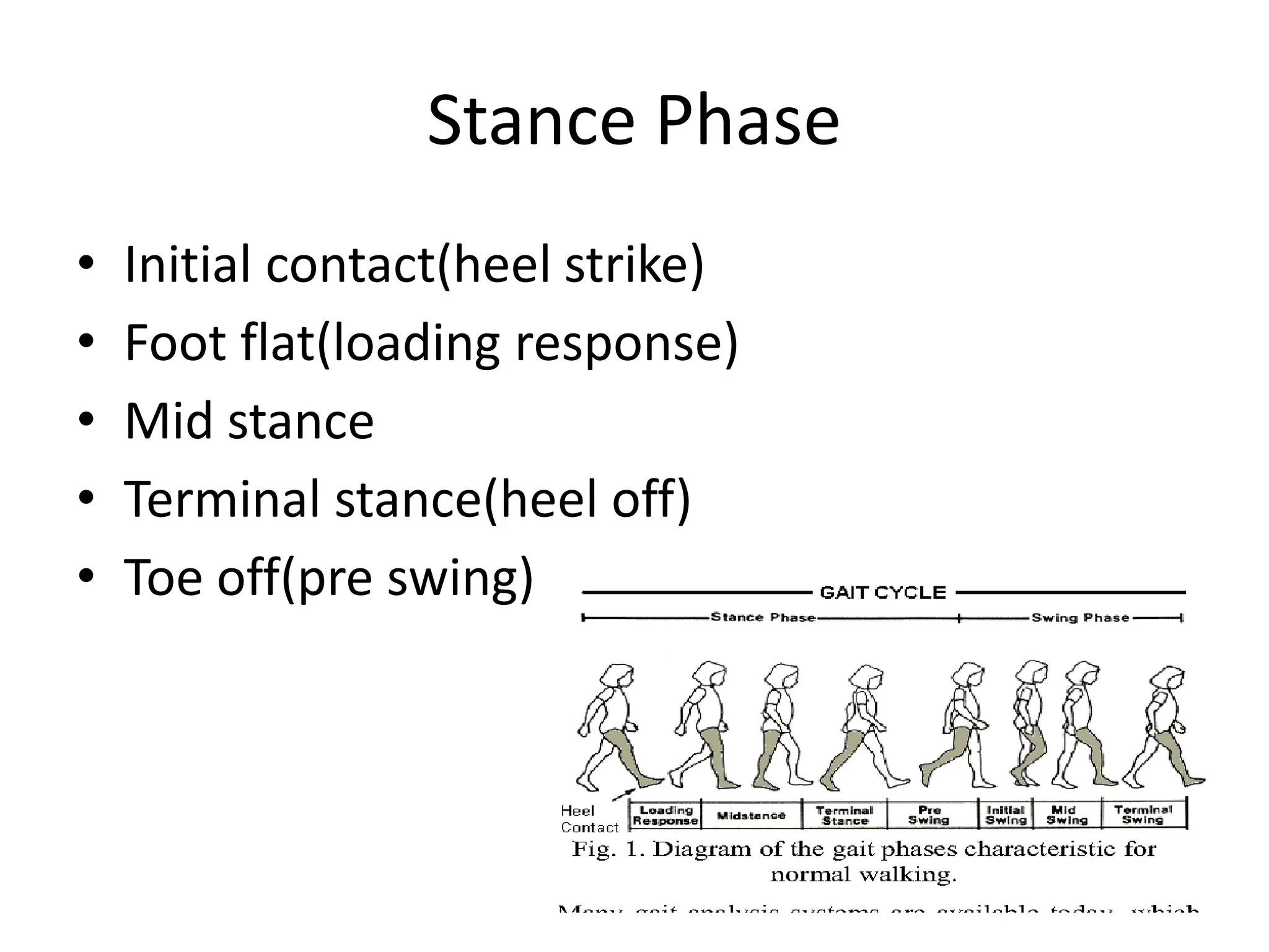 Gait Cycle.pptx
