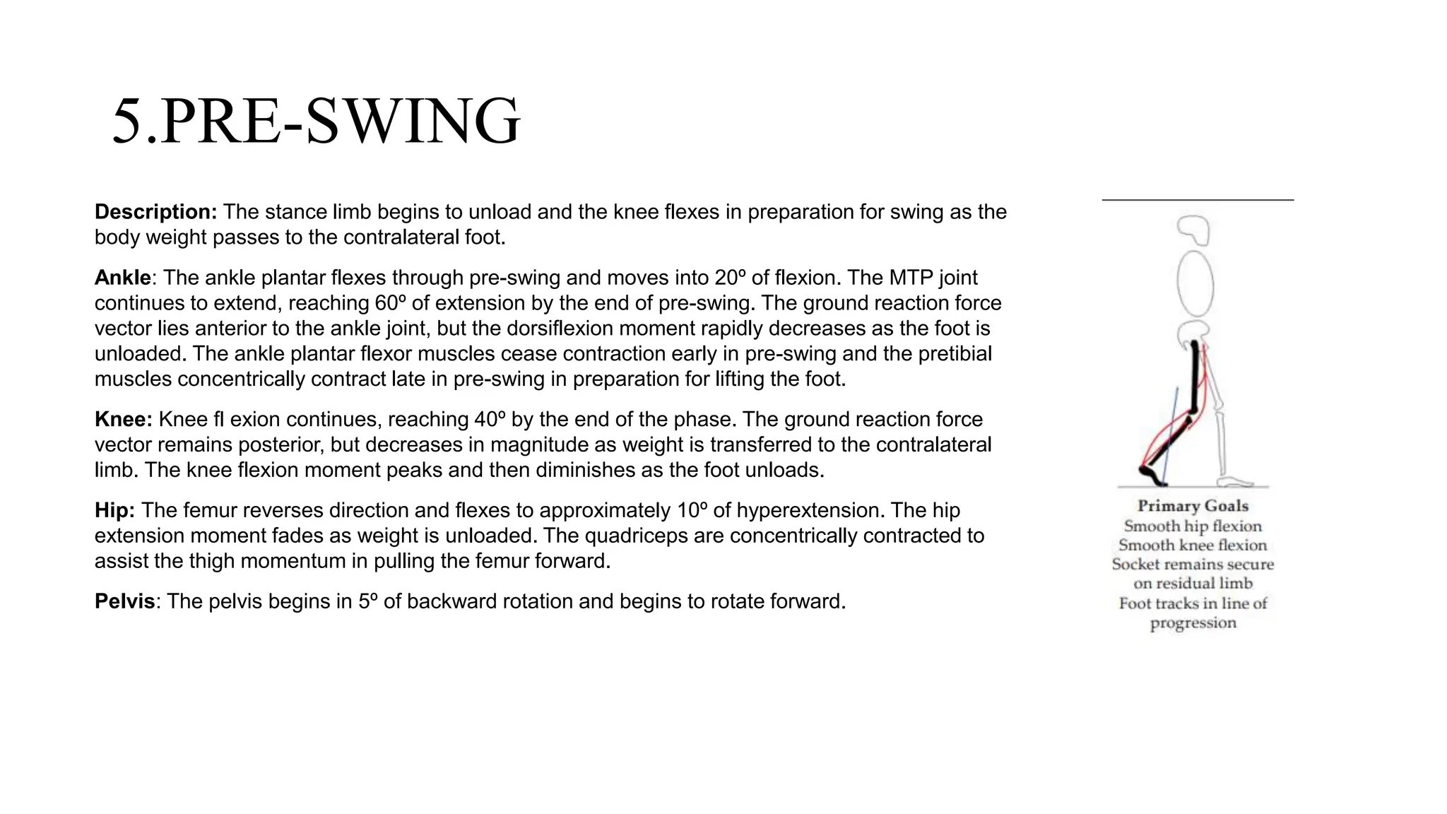 Human Gait Cycle and its Biomechanical Evaluation | PPTX