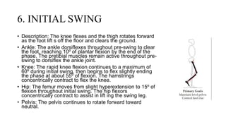 Human Gait Cycle and its Biomechanical Evaluation | PPTX