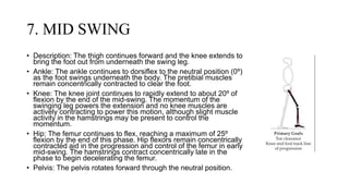 Human Gait Cycle and its Biomechanical Evaluation | PPTX