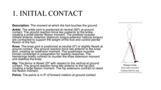 Human Gait Cycle and its Biomechanical Evaluation | PPTX