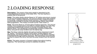 Human Gait Cycle and its Biomechanical Evaluation | PPTX