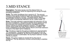 Human Gait Cycle and its Biomechanical Evaluation | PPTX