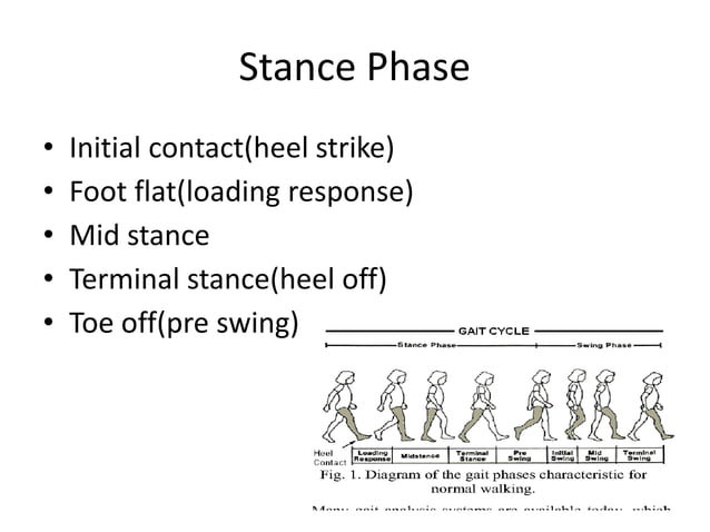 Gait Cycle- Gait pattern and some postural dysfunctions.pptx