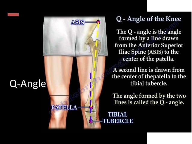 Gait Cycle- Gait pattern and some postural dysfunctions.pptx