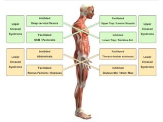 Gait Cycle- Gait pattern and some postural dysfunctions.pptx