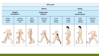 GAIT CYCLE is important in walking.abnormalities | PPT