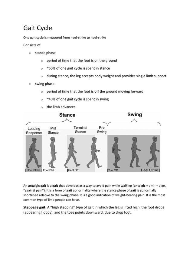 Gait cycle hip | PDF
