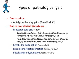 Gait cycle | PPTX
