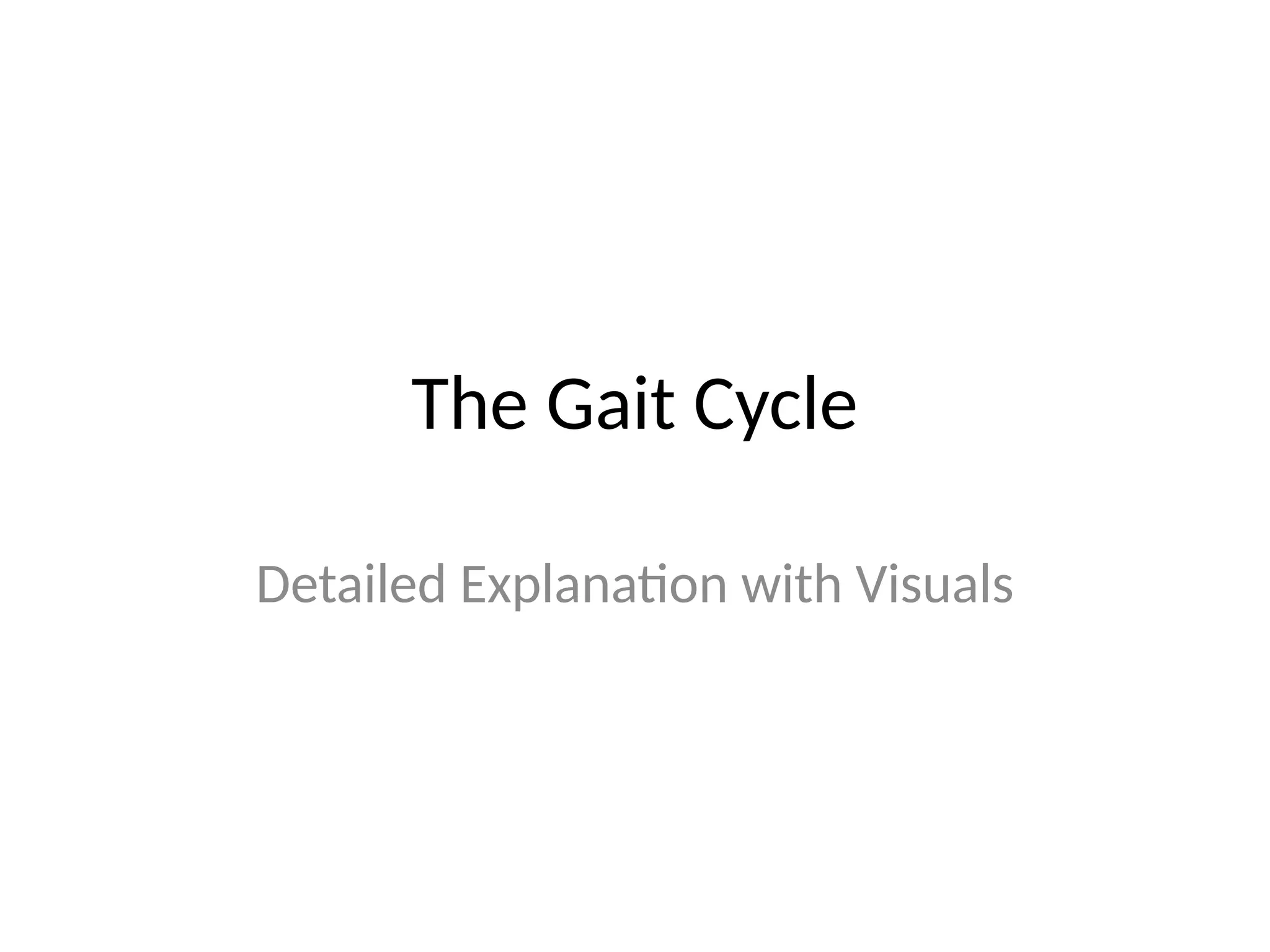 Two_Types_of_Gait_Cycle_Explanation.pptx