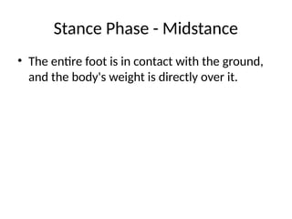 Two_Types_of_Gait_Cycle_Explanation.pptx