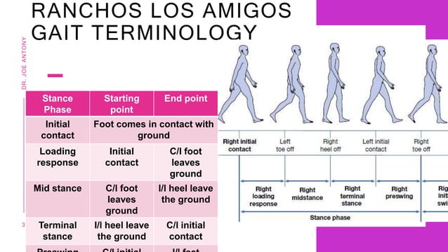 Gait deviations in Transtibial prosthesis users | PPTX