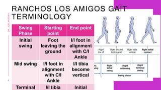Gait deviations in Transtibial prosthesis users | PPTX