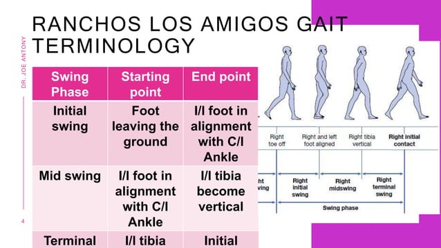 Gait deviations in Transtibial prosthesis users | PPTX
