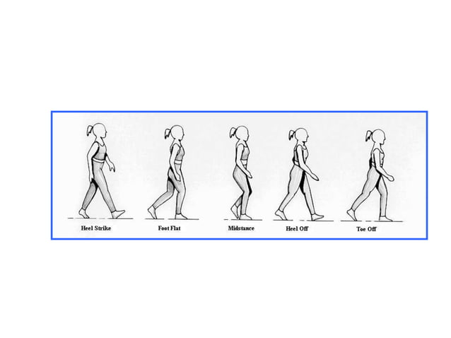Gait disorders | PPTX