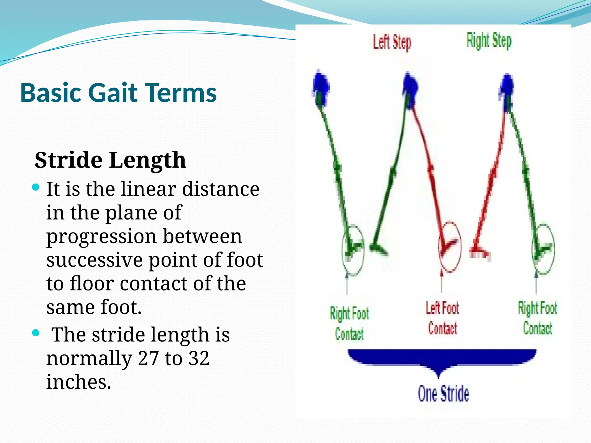 Gait Final ppt presentation explanation.pptx