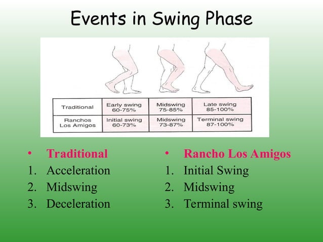 gait lecture - 2sidjfnfngkgkfkdjdiej.ppt