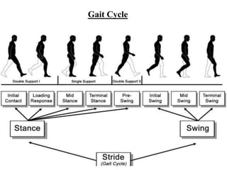 Gait pattern.pptx