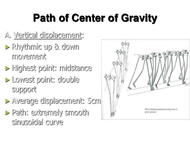 Gait biomechanics