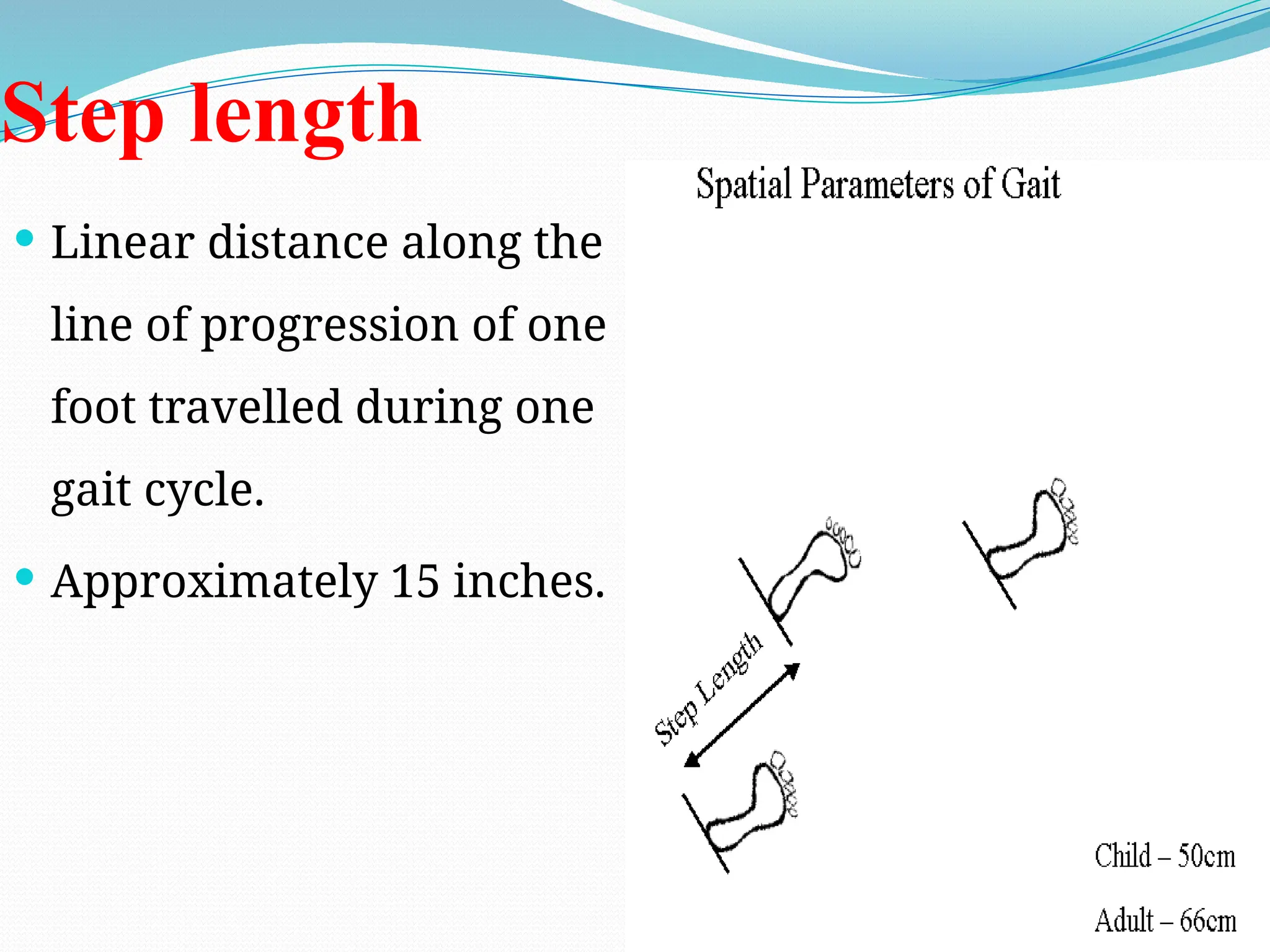 BIOMECHANICS OF gait and gait cycle and gait analysis | PPTX