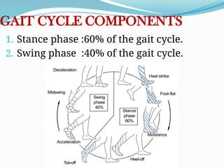 BIOMECHANICS OF gait and gait cycle and gait analysis | PPTX