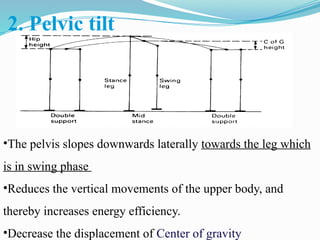 BIOMECHANICS OF gait and gait cycle and gait analysis | PPTX