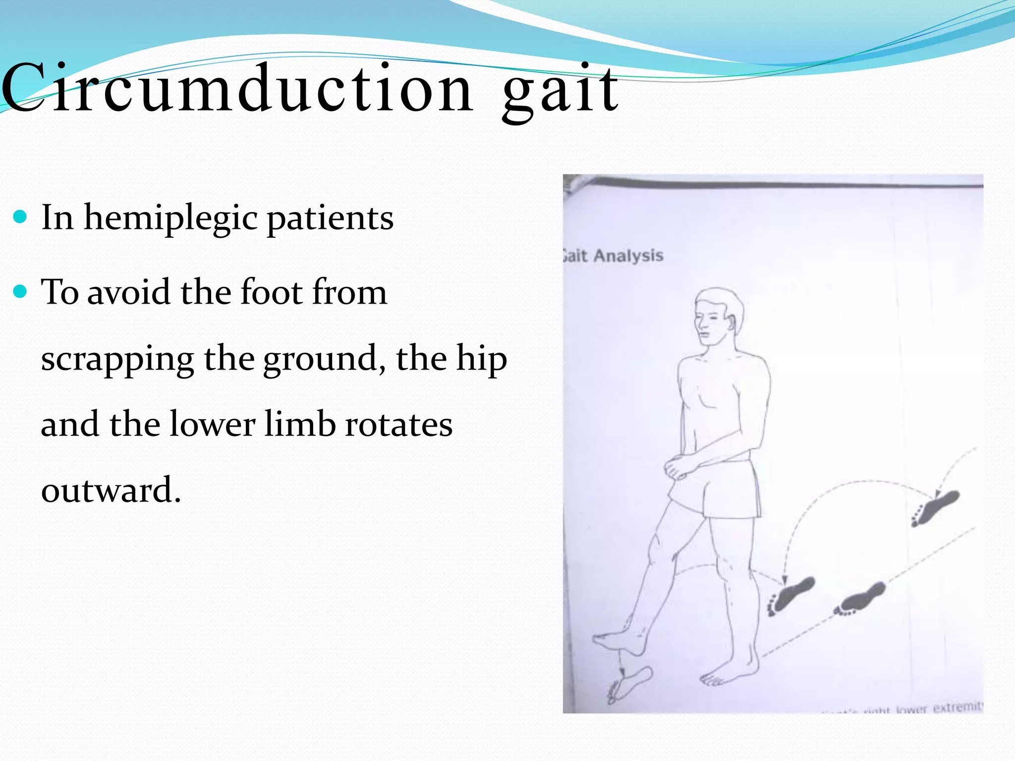 Gait | PPTX