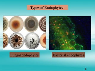 Gajendra manohariya credit saminar (1).pptx