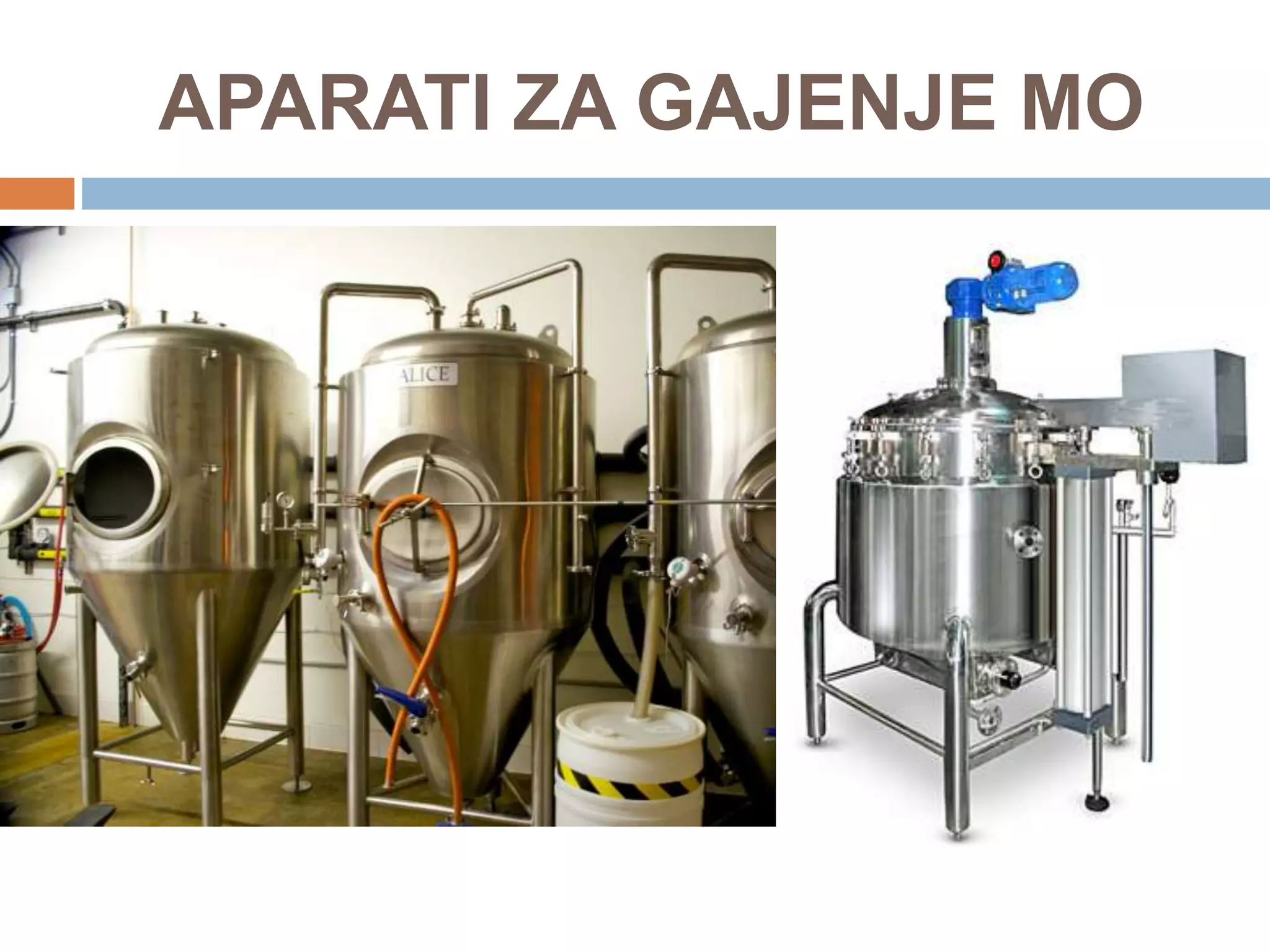 Gajenje mikroorganizama u industrijskoj proizvodnji | PPTX