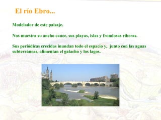 Galacho de juslibol | PPT