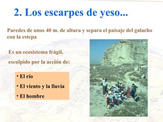 Galacho de juslibol | PPT